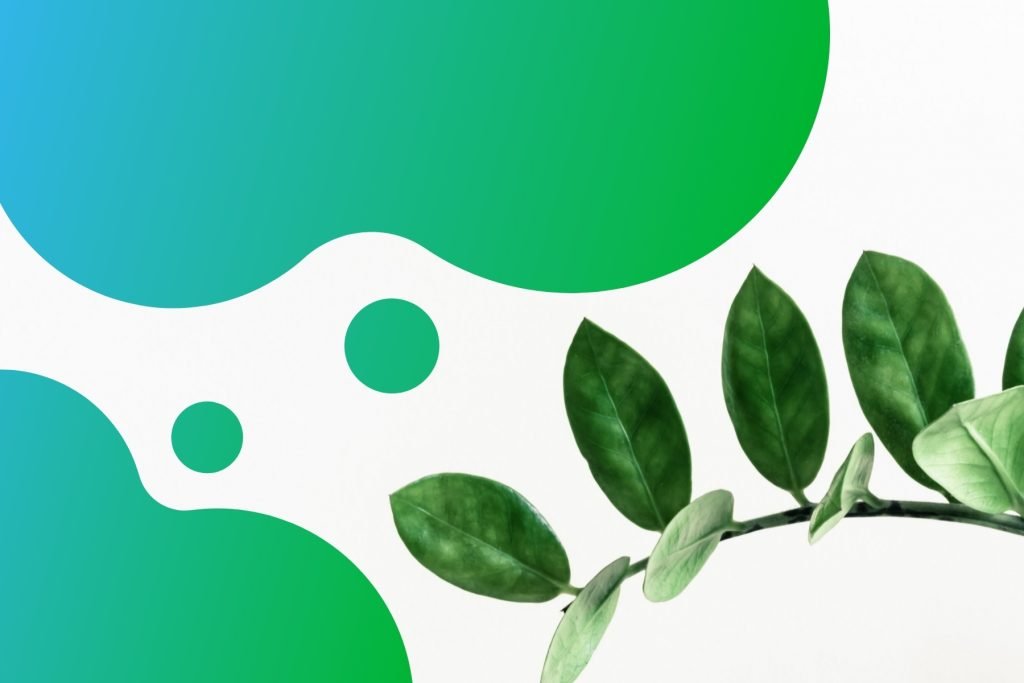 Fairbnb.coop Digest #1: latest news from our Co-op Ecosystem | Fairbnb ...